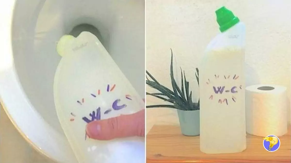 Comment Assainir et Détartrer le WC Efficacement?