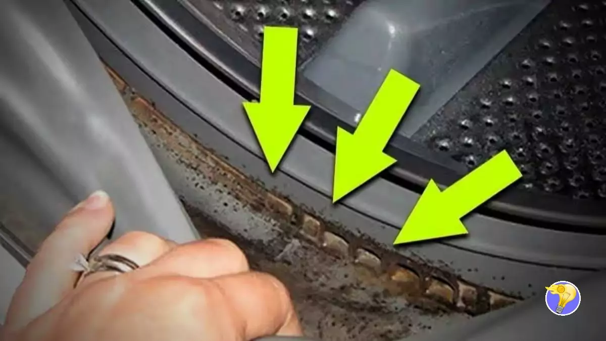 Comment Assainir le Joint du Hublot du Lave-linge?