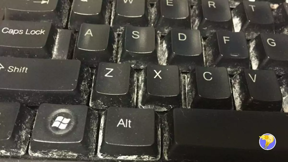 Comment Dépoussiérer les Touches du Clavier? Comment Dépoussiérer les Touches du Clavier?