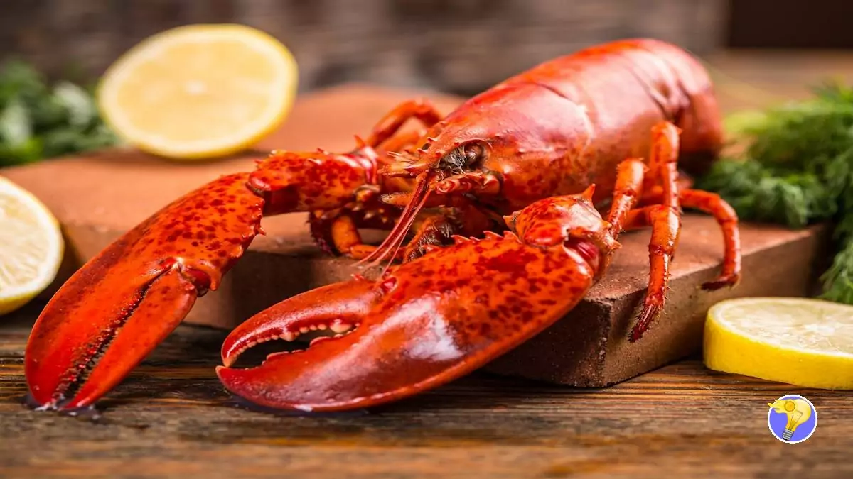 C’est Comme ça Qu’on Enlève la Chair d’un Homard