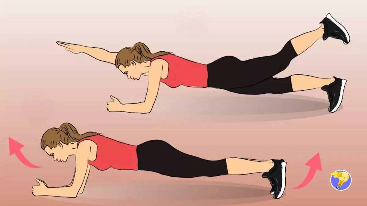 5 Exercices pour un Corps Tonifié et Musclé