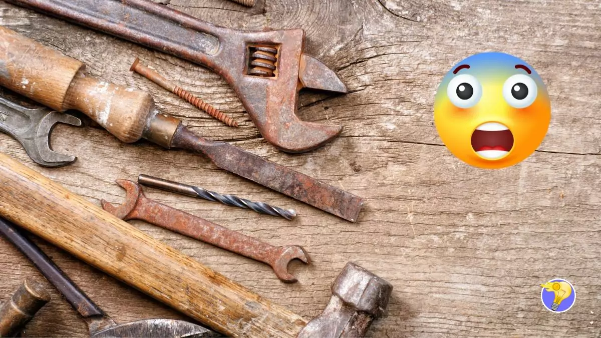 5 Minutes Suffisent pour des Objets Métalliques Dépourvus de la Rouille