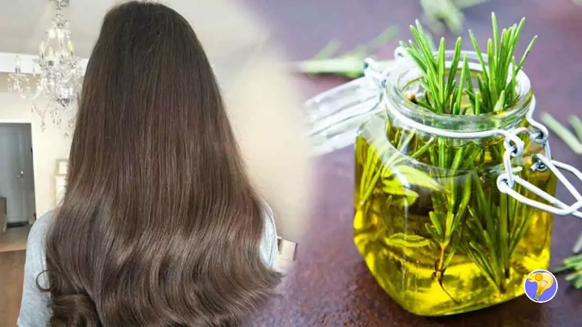Utilisez l’Huile de Romarin pour des Cheveux Impeccables